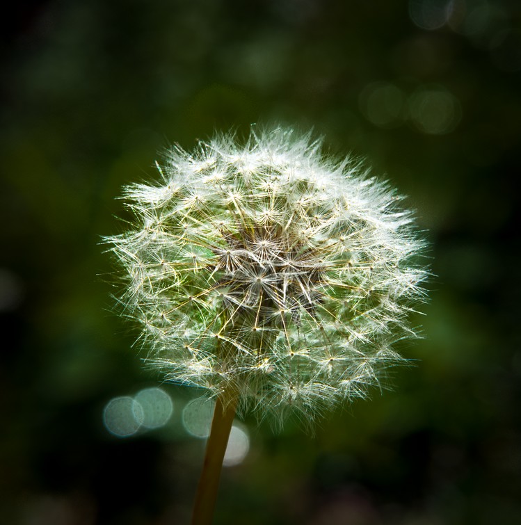 Miscellaneous - christattersall.co.nz